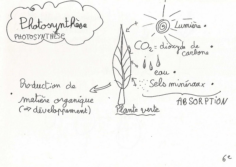 Des écosystèmes et leur fonctionnement [6 M3]. 9C