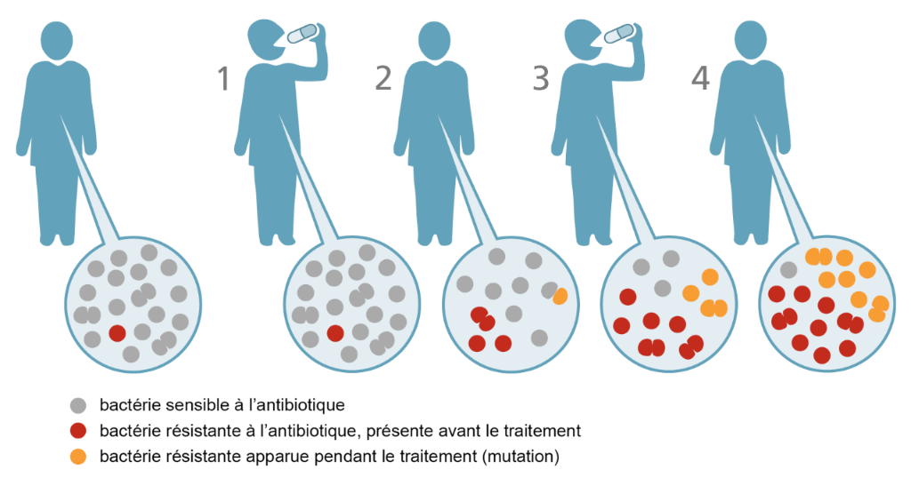 Le monde microbien [3e M4]. 10 C