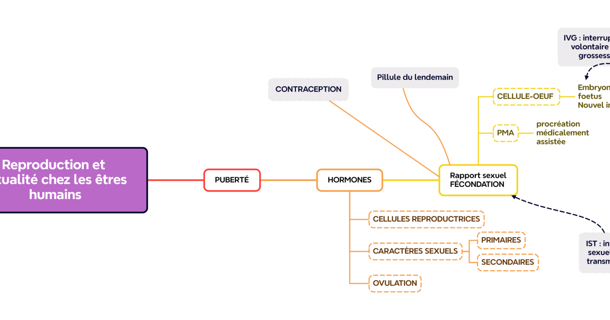 Reproduction et sexualité chez les êtres humains [4e M2]. 8C