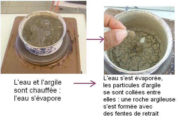 L' argile : de la sédimentation à la roche - SVTBelrose.info