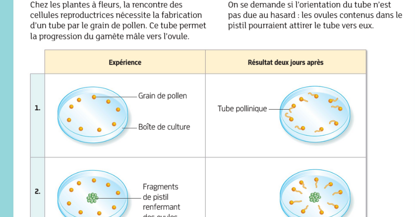 Reproduction et parenté des êtres vivants [4e M3]. 5C